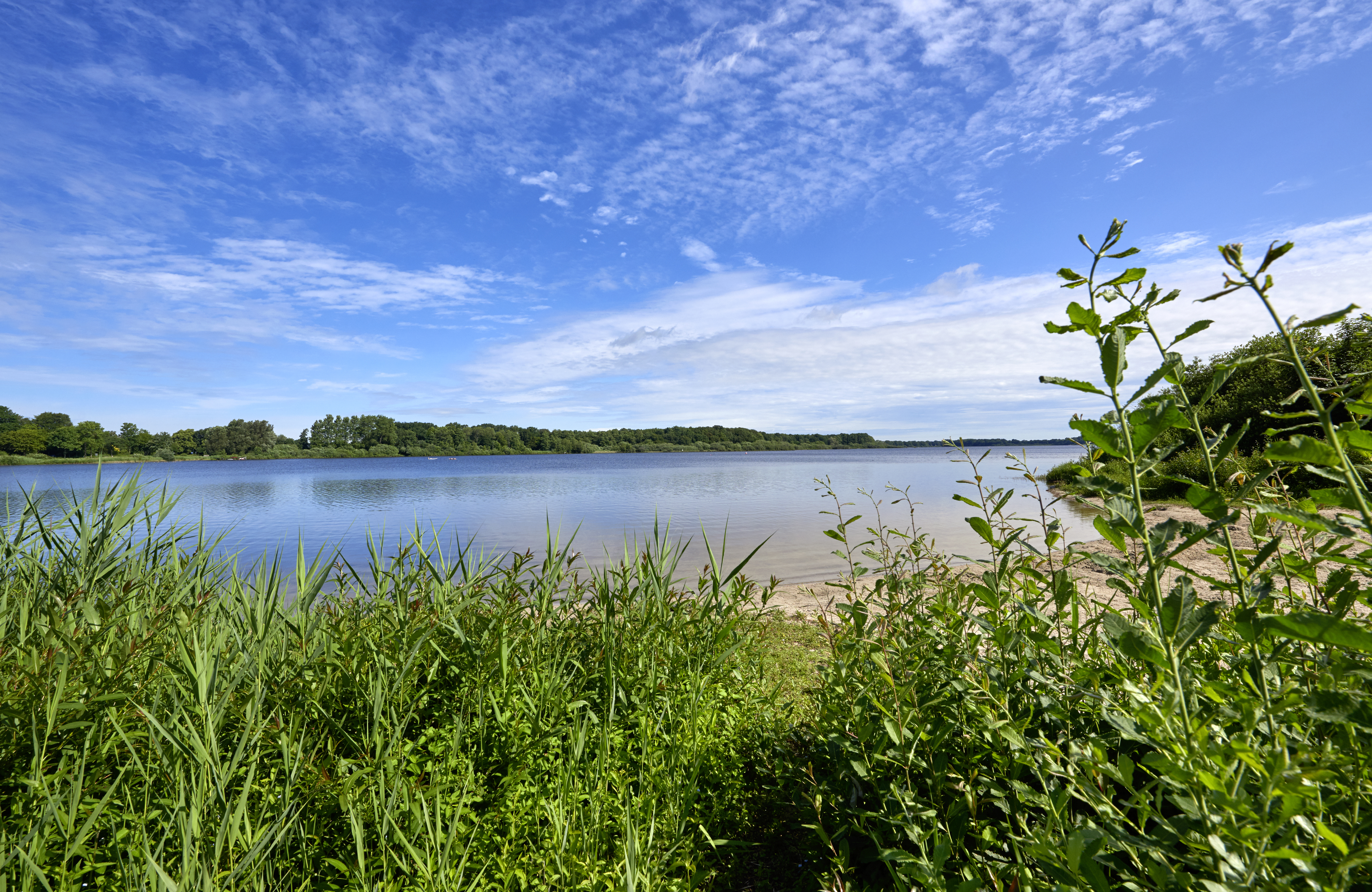 Badestelle Hohenhude am Westensee: SH-Tourismus